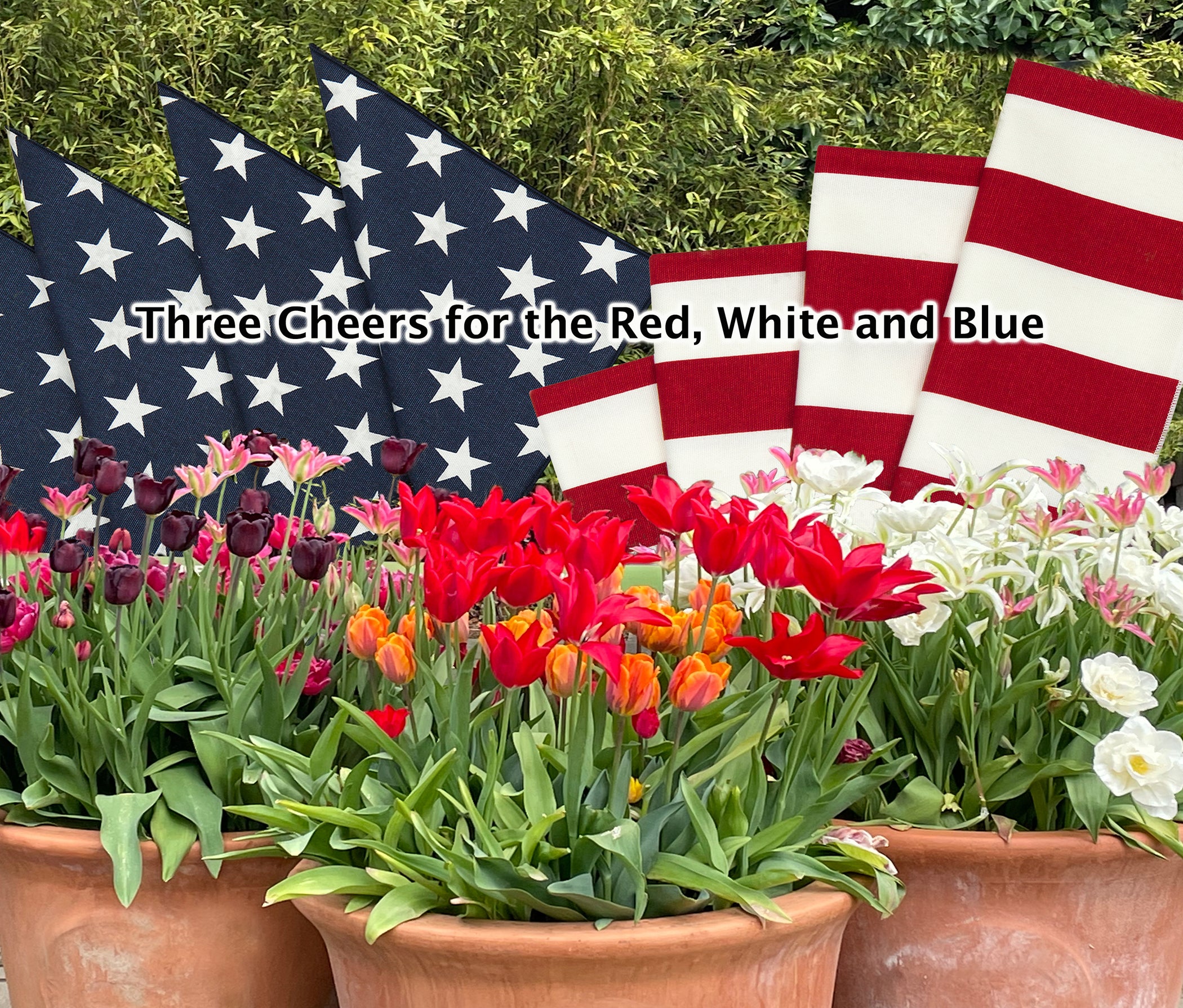 Decorative Things - Unique Home Decor, Gifts, Decorative Accessories